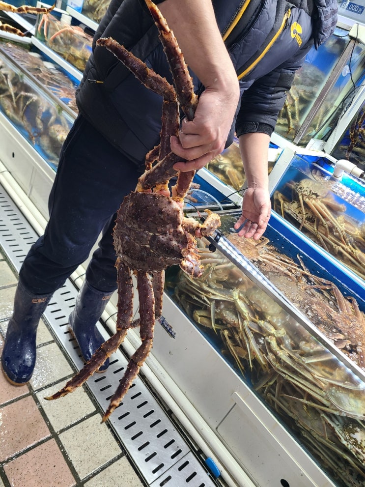 구리농수산물시장 킹크랩, 초장집 내돈내산 후기(환상의섬, 팔팔회센터) : 네이버 블로그