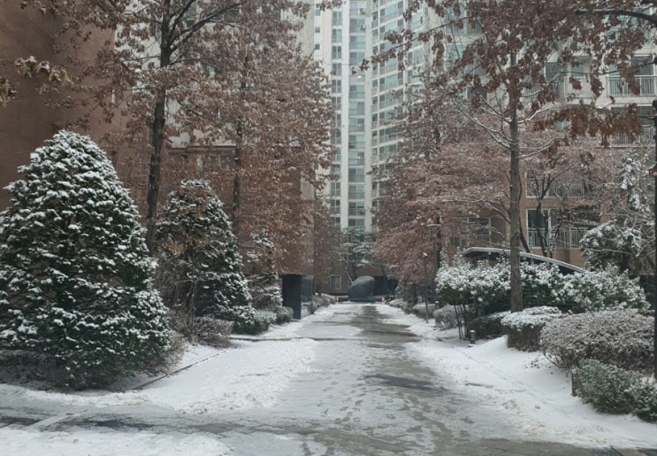 용서하십시오 / 이해인 : 네이버 블로그