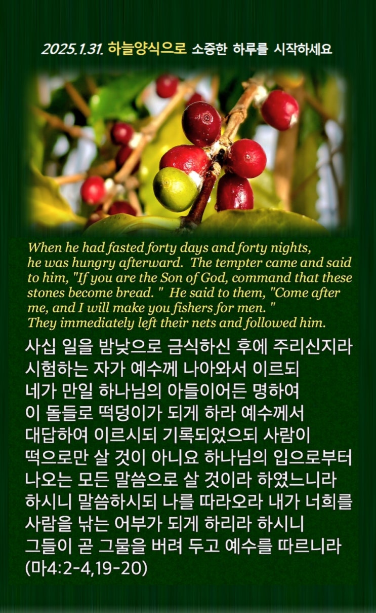 사십일을 밤낮 금식하신 후에 주시린지라_마태복음 4:2-4,19-20_1/31/2025 : 네이버 블로그