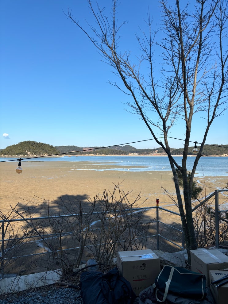 태안 더쉼오토캠핑장 방문후기 (F2구역 2박) : 네이버 블로그