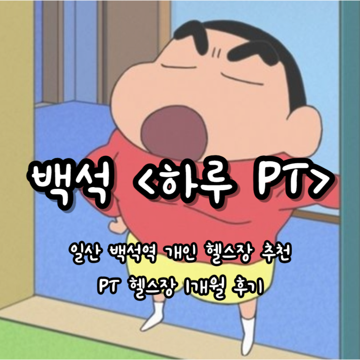 일산 백석역 헬스장 하루 Pt 개인 레슨 1개월 후기 네이버 블로그