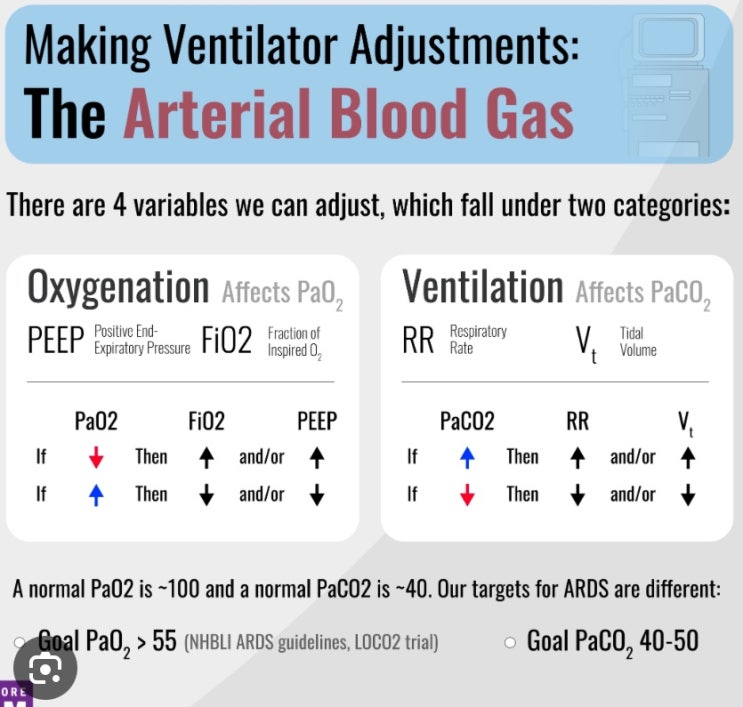 ABGA 정상수치, 해석 동맥혈 가스분석 vs VBGA 차이 공부하기 : 네이버 블로그