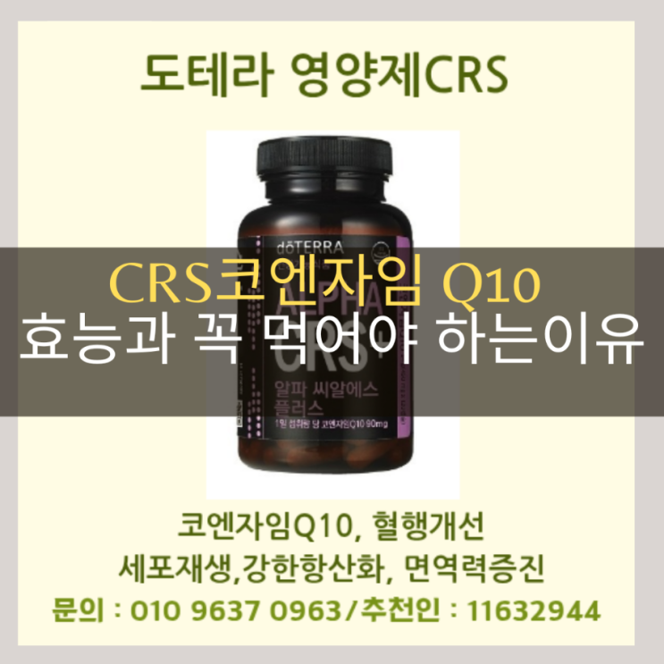 도테라영양제 건강과 신진대사증진 CRS 코엔자임큐텐의 효능과 꼭 먹어야 하는이유 : 네이버 블로그