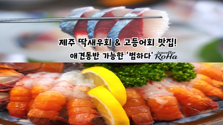 제주 딱새우회 And 고등어회 서귀포 맛집 애견동반 가능한 범하다 솔직 리뷰 네이버 블로그