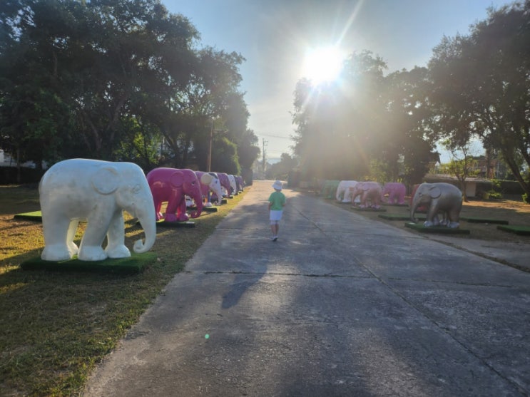 [치앙마이] 엘리펀트 퍼레이드 랜드(Elephant Parade Land) : 네이버 블로그