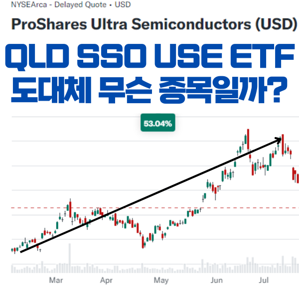 QLD SSO USD ETF 도대체 무슨 종목일까? : 네이버 블로그