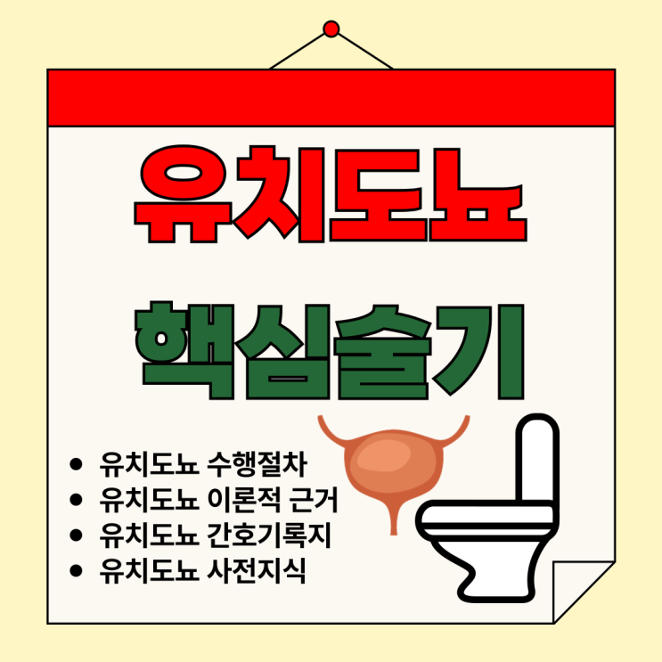 유치도뇨 핵심술기 이론적 근거 간호기록지 사전지식 대사 네이버 블로그