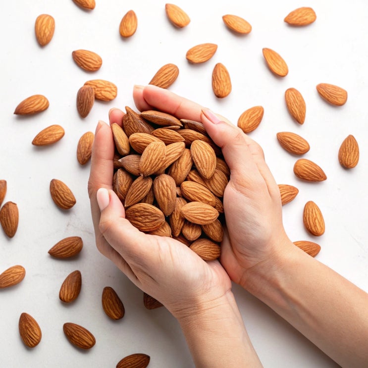 아몬드 1개 칼로리 하루 섭취량 한알 영양성분 완벽 정리 : 네이버 블로그