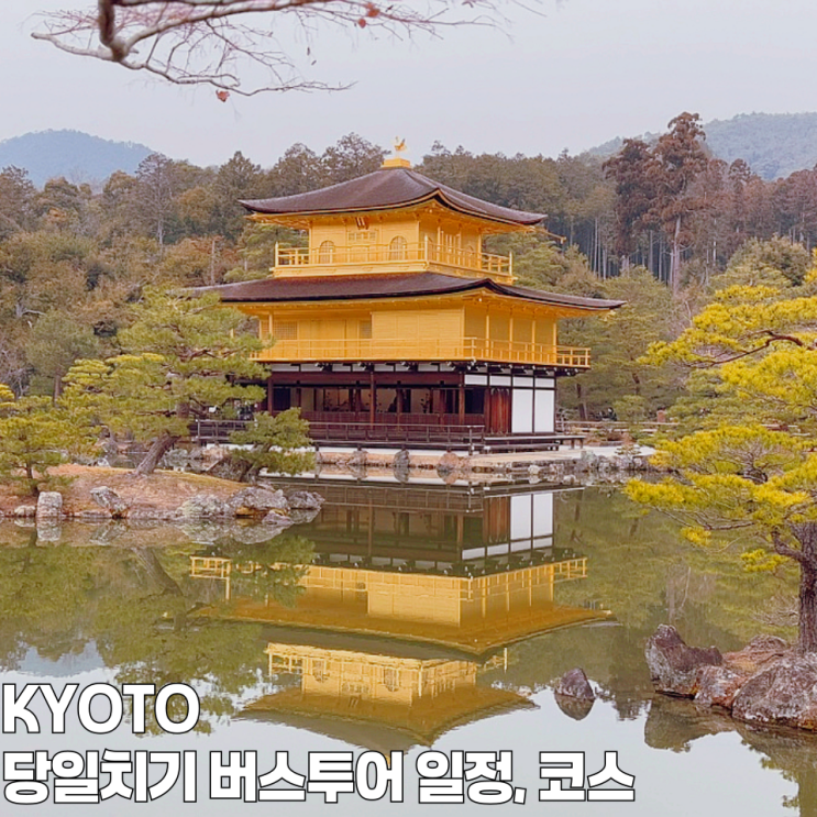 일본 교토 오사카 여행 와쿠와쿠 당일치기 버스투어 일정 네이버 블로그