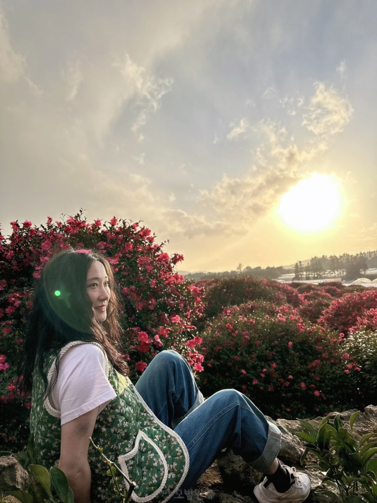 티타늄리프팅 80KJ 시술 후기 (볼패임 없음) : 네이버 블로그