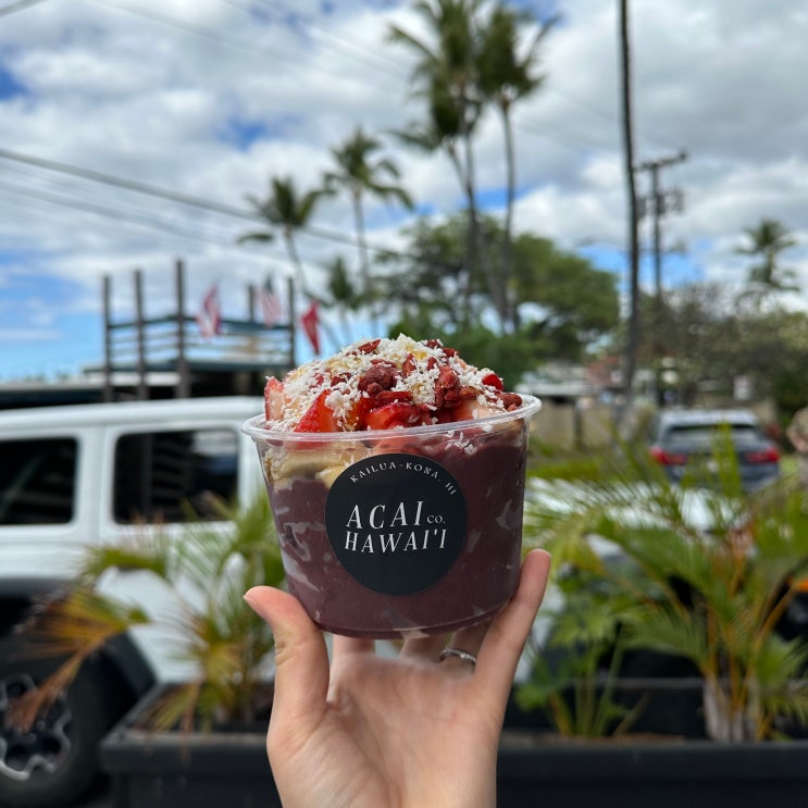 [올챙이 미국/하와이 빅아일랜드] 한국인들에게 인기만점 아사히볼은 바식 아사히볼? Basik Acai 후기 : 네이버 블로그