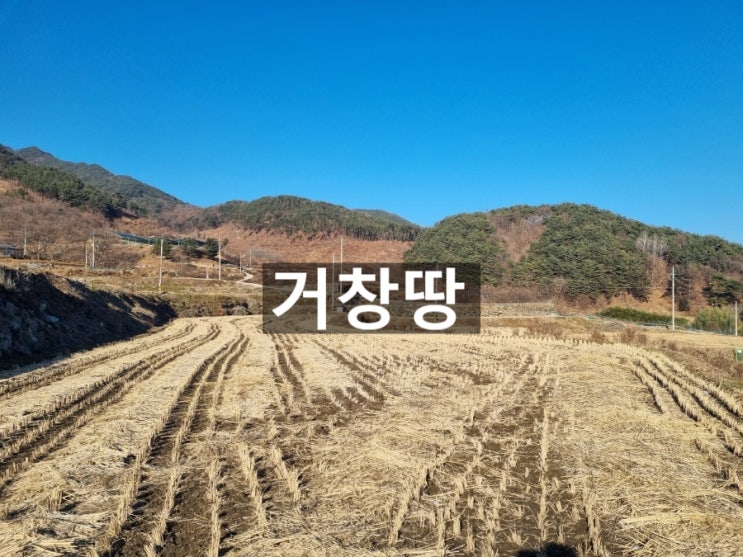 거창마리면부동산 거창땅 매매 ( 마리면토지 ) : 네이버 블로그