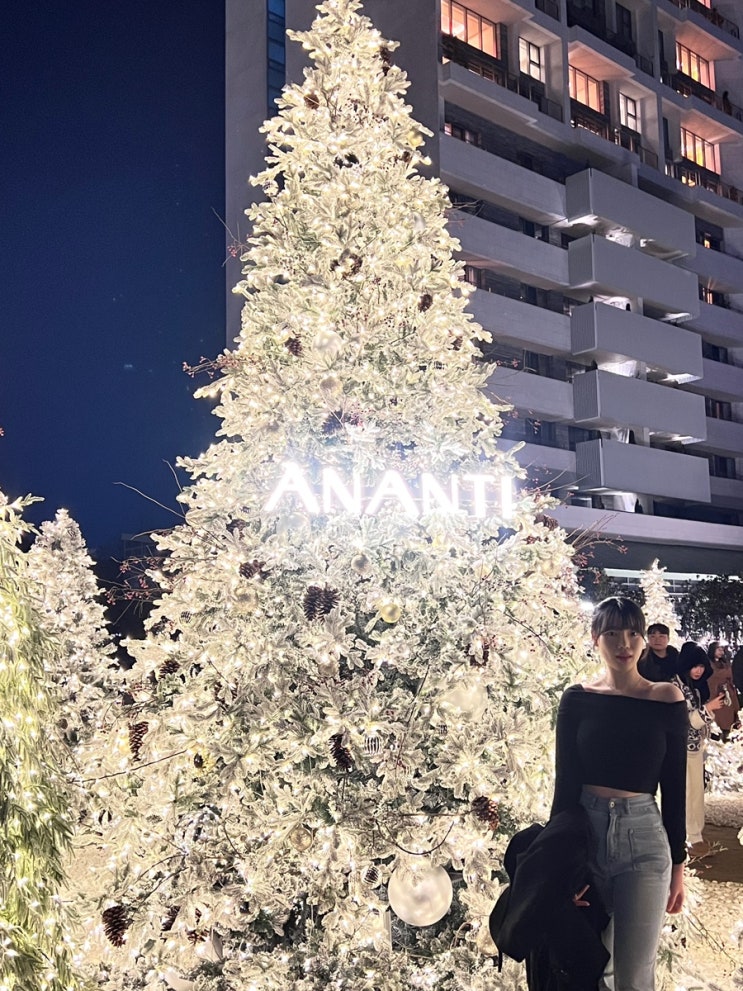 빌라쥬 드 아난티 트리하우스 2024 : 네이버 블로그