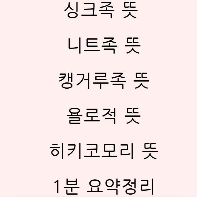 싱크족 뜻 니트족 뜻 캥거루족 뜻 욜로적 뜻 히키코모리뜻 1분 요약 정리 네이버 블로그