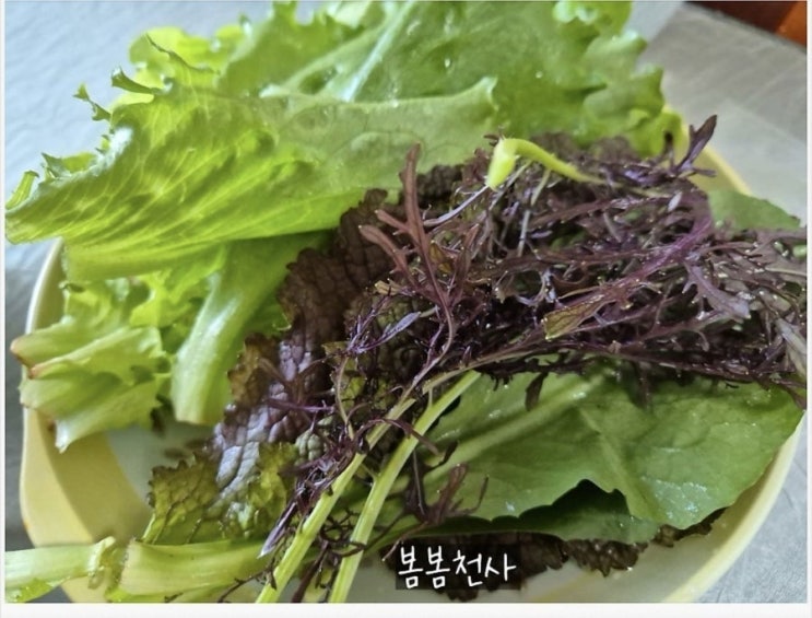♡금요시크릿박스 주말준비♡ 4~5종이상 랜덤채소 1킬로 이상 문의가 많으신데 상추류는 늘 기본으로 들어갑니다공유이벤트포함