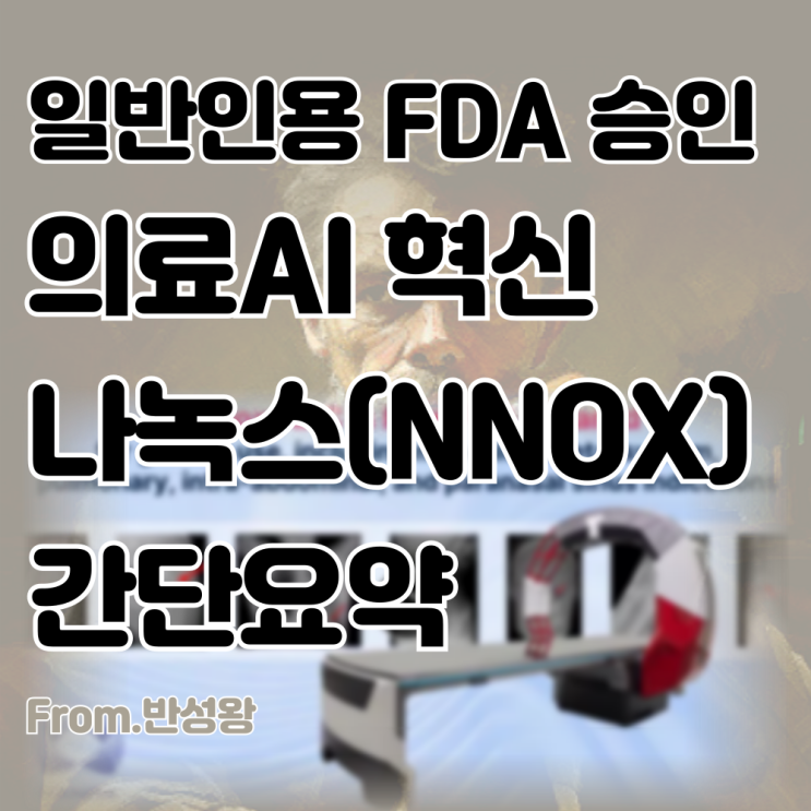나녹스(NNOX) NANOX 주가 근황 간단요약 (6년차 투자자시점) : 네이버 블로그