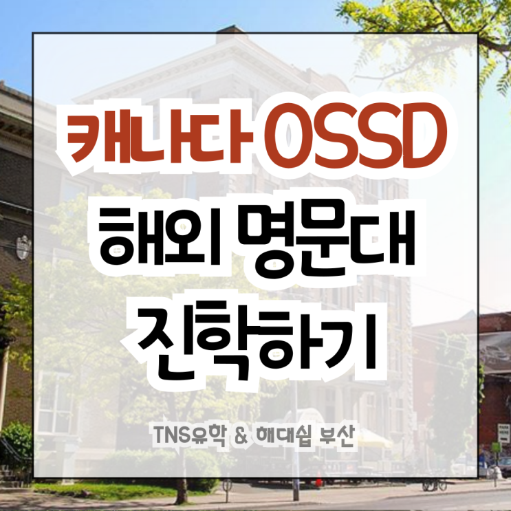 OSSD로 해외 명문대 진학! 수능 없이도 TOP 대학 도전 가능! 🎓 : 네이버 블로그