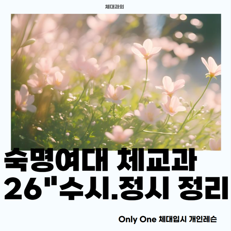 숙명여대 체육교육과 수시 정시 성적 체대입시 여자 네이버 블로그