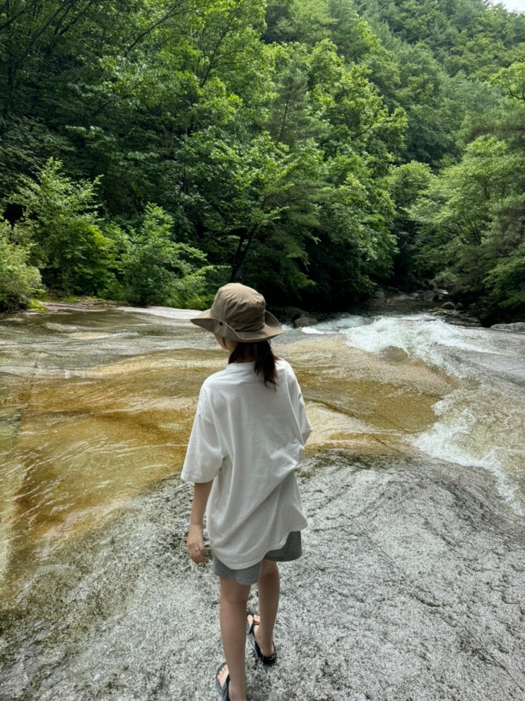 시원한 여름을 보내고 싶을때 떠나는 백운산 백운계곡 : 네이버 블로그