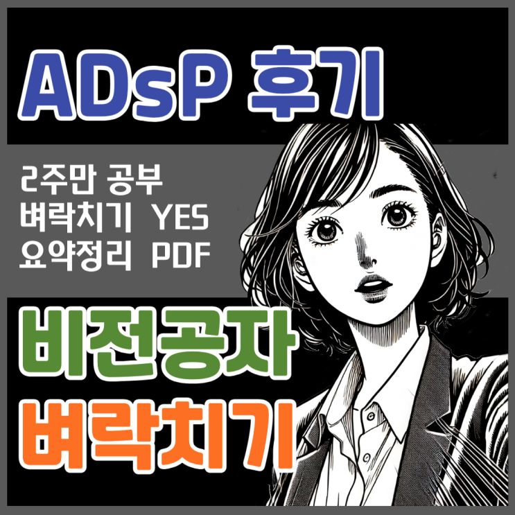 ADsP 후기 비전공자 벼락치기 2주 요약정리 Pdf 💡 : 네이버 블로그