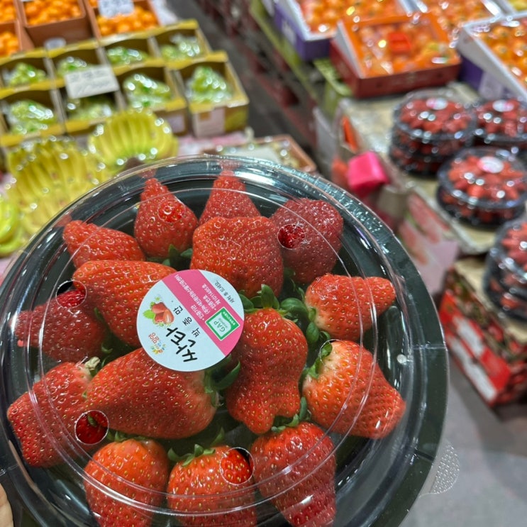 25. 2월일상 : 네이버 블로그