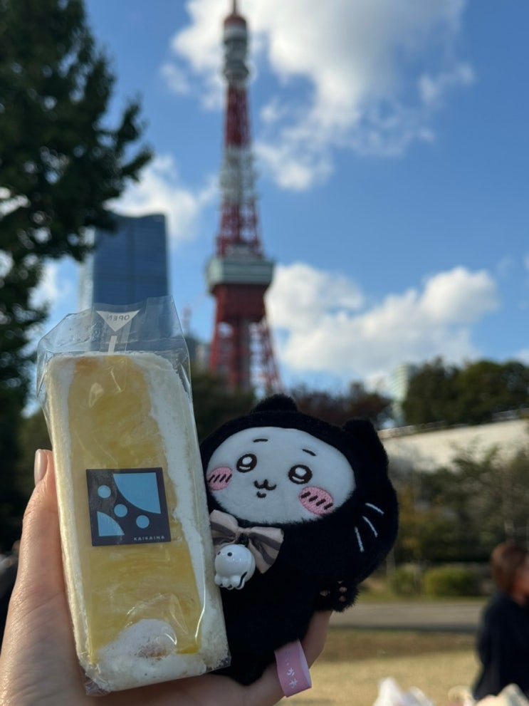 도쿄 카페 추천 하라주쿠 과일 산도 맛집 kaikaina : 네이버 블로그