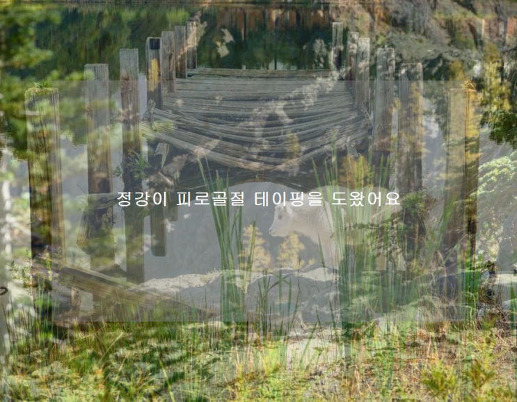 정강이 피로골절 테이핑을 도왔어요 : 네이버 블로그