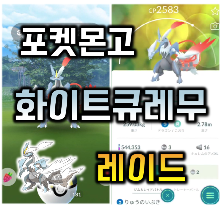 포켓몬고 화이트큐레무 레이드 And 약점 And 졸업스킬 And 활용도 정보 총정리 네이버 블로그