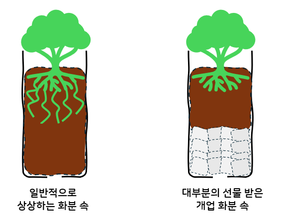 개업화분 뱅갈고무나무 분갈이 화분 속 스티로폼 어떻게 대형화분 분갈이 하는 방법 식물 분갈이 네이버 블로그