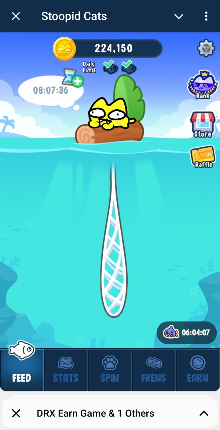 [에드작] Stoopid Cats : 소규모는 돈이 된다. : 네이버 블로그