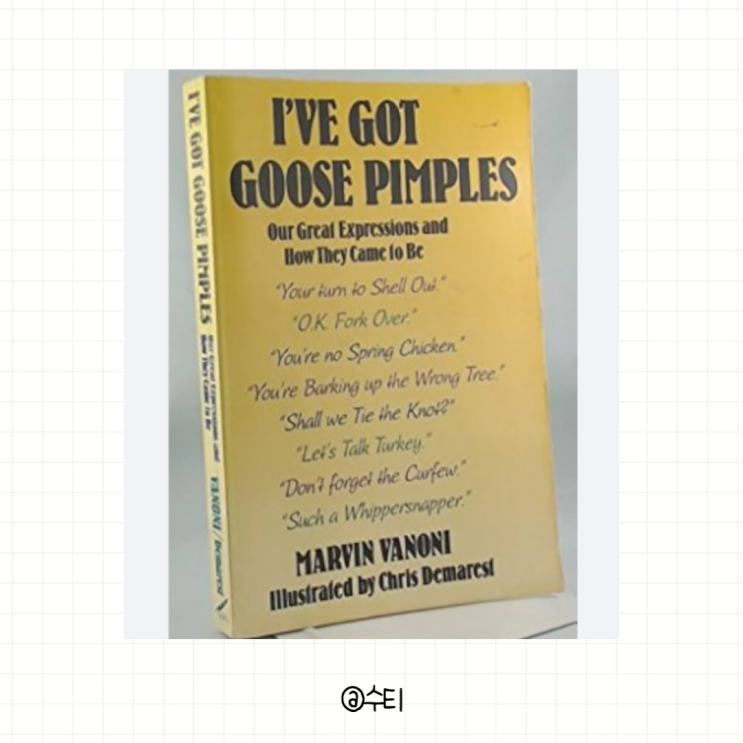 영어 관용표현 유래 모음집, 원서추천 I've got goose pimples : 네이버 블로그