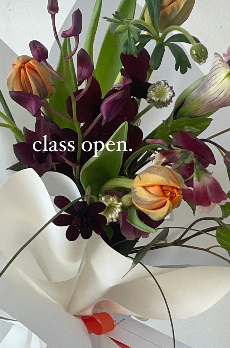 2025년 2,3월 정규클래스 오픈🩵 : 네이버 블로그