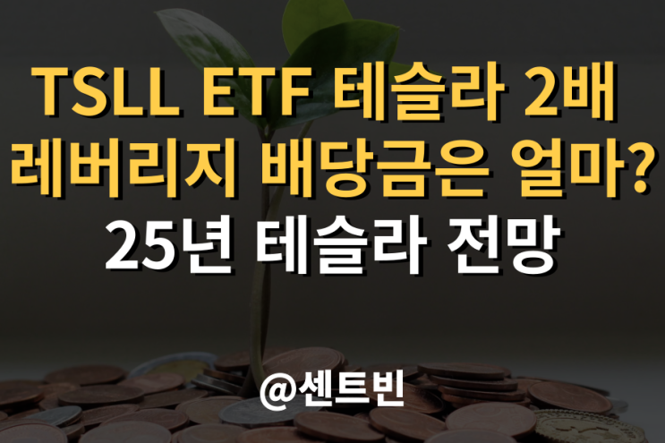 tsll 주가 전망 테슬라 2배 레버리지 25년에는 어떨까? : 네이버 블로그