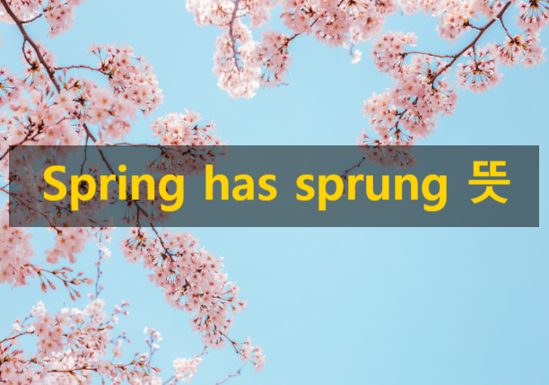 봄이 왔다 영어로 Spring has sprung 뜻 영어 회화 이디엄 표현 : 네이버 블로그