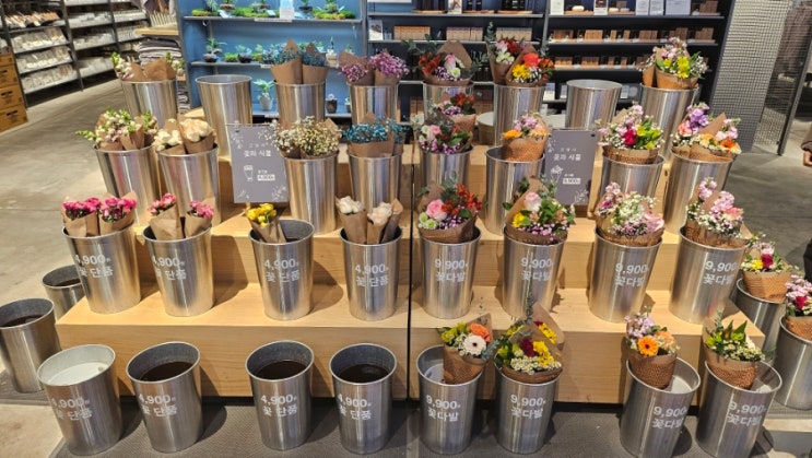 고양/ MUJI 스타필드 고양점 B1 트레이더스가는 길 무지 꽃다발 가격 4,900원 9,900원 입학식 졸업식 꽃단품 무인양품 ...