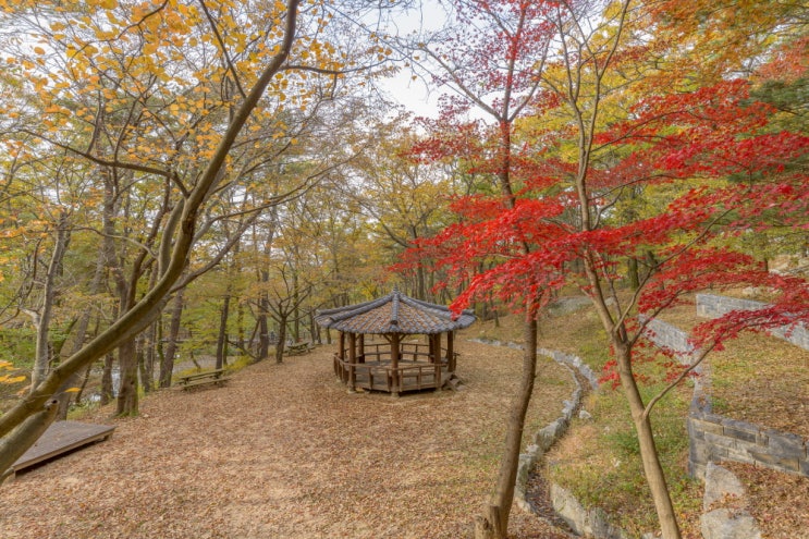 마니산 치유의 숲 - 인천광역시 강화군 화도면 마니산로675번길 : 네이버 블로그