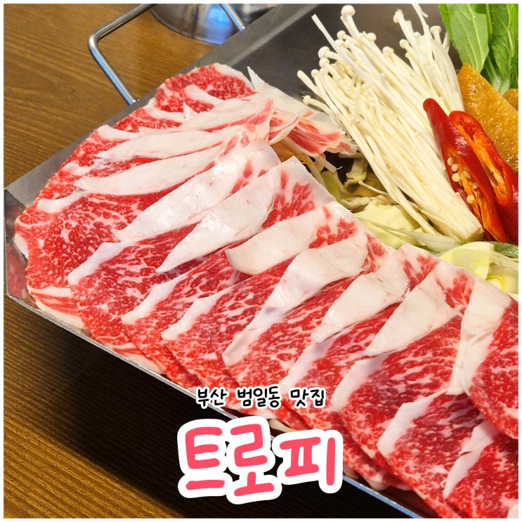 범일동 샤브샤브 트로피, 한우 소고기 퀄리티 미친 부산 샤브 찐맛집 : 네이버 블로그