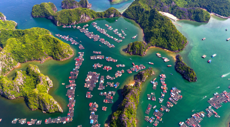 깟바섬(Quần đảo Cát Bà / 群島葛婆)내 벤베오마을(Ben Beo, Vietnam) : 네이버 블로그