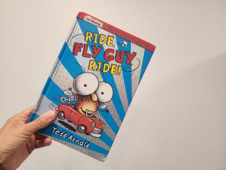 Ride Fly Guy Ride! 크라이스트처치 트레킹 Sugarloaf, Sign of Kiwi, 농구시작 : 네이버 블로그