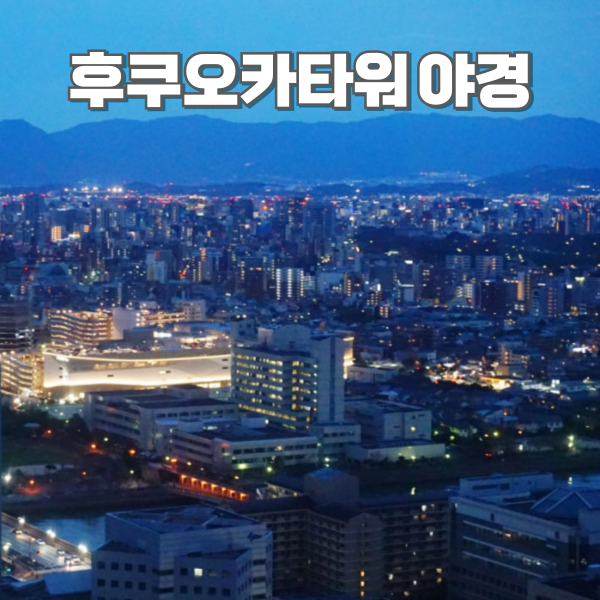 후쿠오카 타워 야경 예매 일몰 시간 입장권 예약 : 네이버 블로그