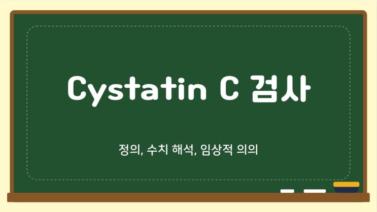 Cystatin c 검사 정의 및 수치 높을 때와 낮을 때, 임상적 의의에 대해 : 네이버 블로그
