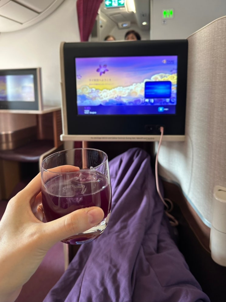 타이항공 비즈니스 클래스 리뷰 (서울↔방콕 TG659 & TG658, 입국 패스트트랙) : 네이버 블로그