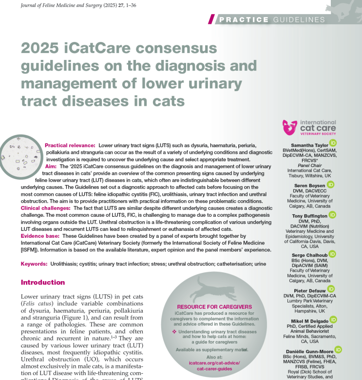 2025 iCatCare consensus guidelines on Dx.& management of lower ...