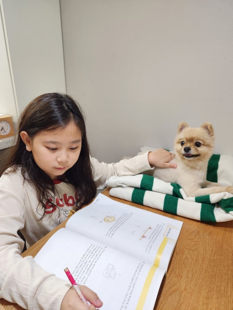 아빠표수학 초등 예비 5학년 창의 사고력 수학 팩토 Lv5 레벨 5단계 기본a 기본b 초5~초6 후기 네이버 블로그