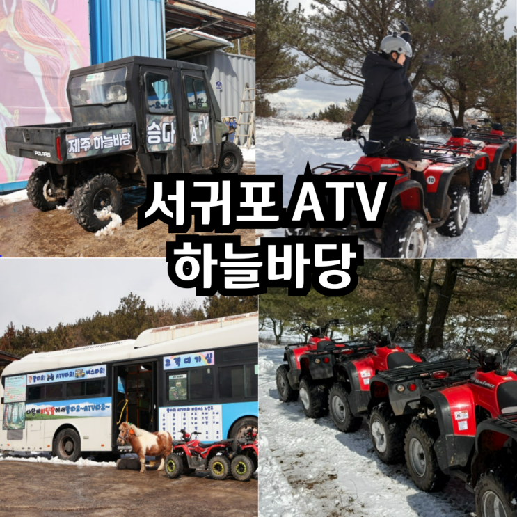 서귀포 Atv 제주 엑티비티 승마체험 하늘바당 추천 네이버 블로그