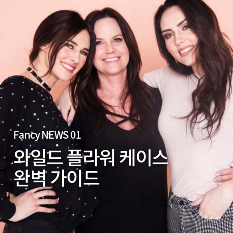 [Fancy NEWS 01] 와일드플라워 케이스 브랜드 완벽 가이드 : 네이버 블로그