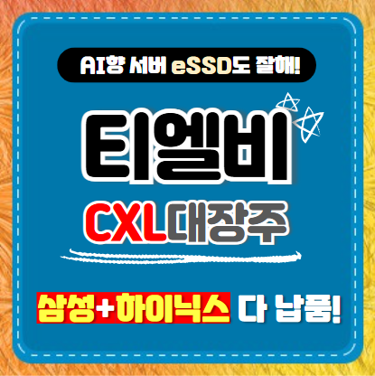 CXL 관련주 티엘비 주가 AI 서버 향 eSSD도 강자 : 네이버 블로그