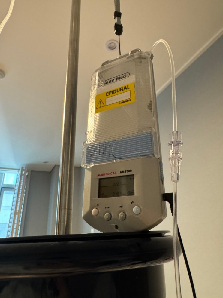 누누가 태어난 날 : 네이버 블로그