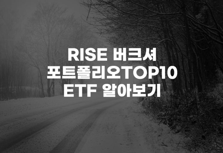 RISE 버크셔포트폴리오TOP10[475350] ETF 분석 워런버핏 Berkshire Hathaway : 네이버 블로그