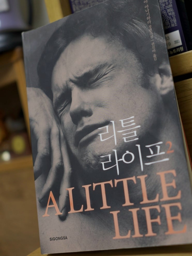 [2025 독후감] 리틀라이프(2권) '잔인한 걸작'(줄거리, 서평) : 네이버 블로그
